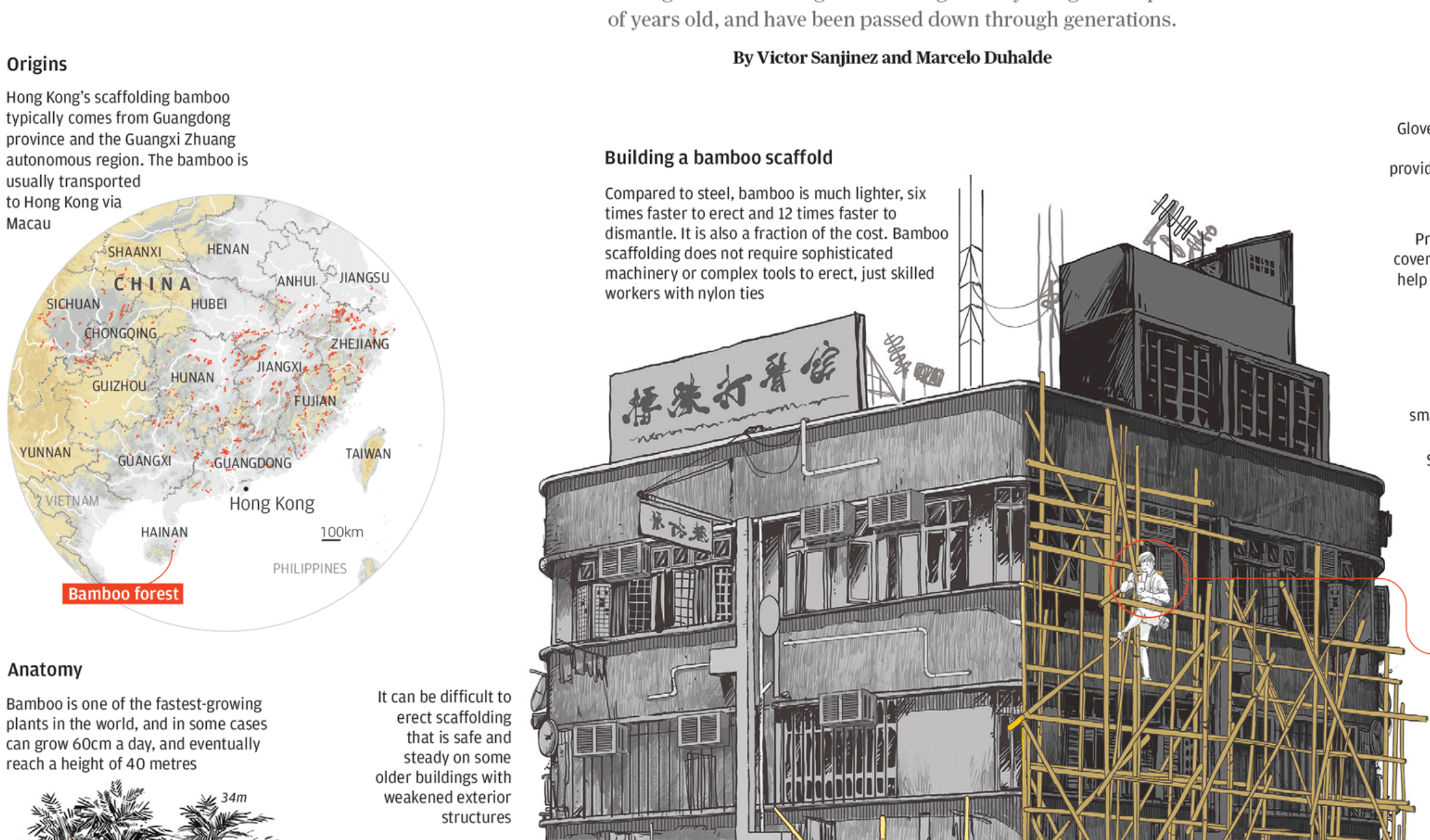 Reemplaza este título que se muestra en la ventana de tu navegador